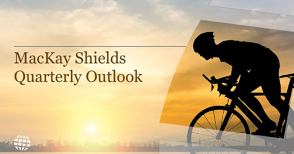 4Q24 Specialty Fixed Income Outlooks